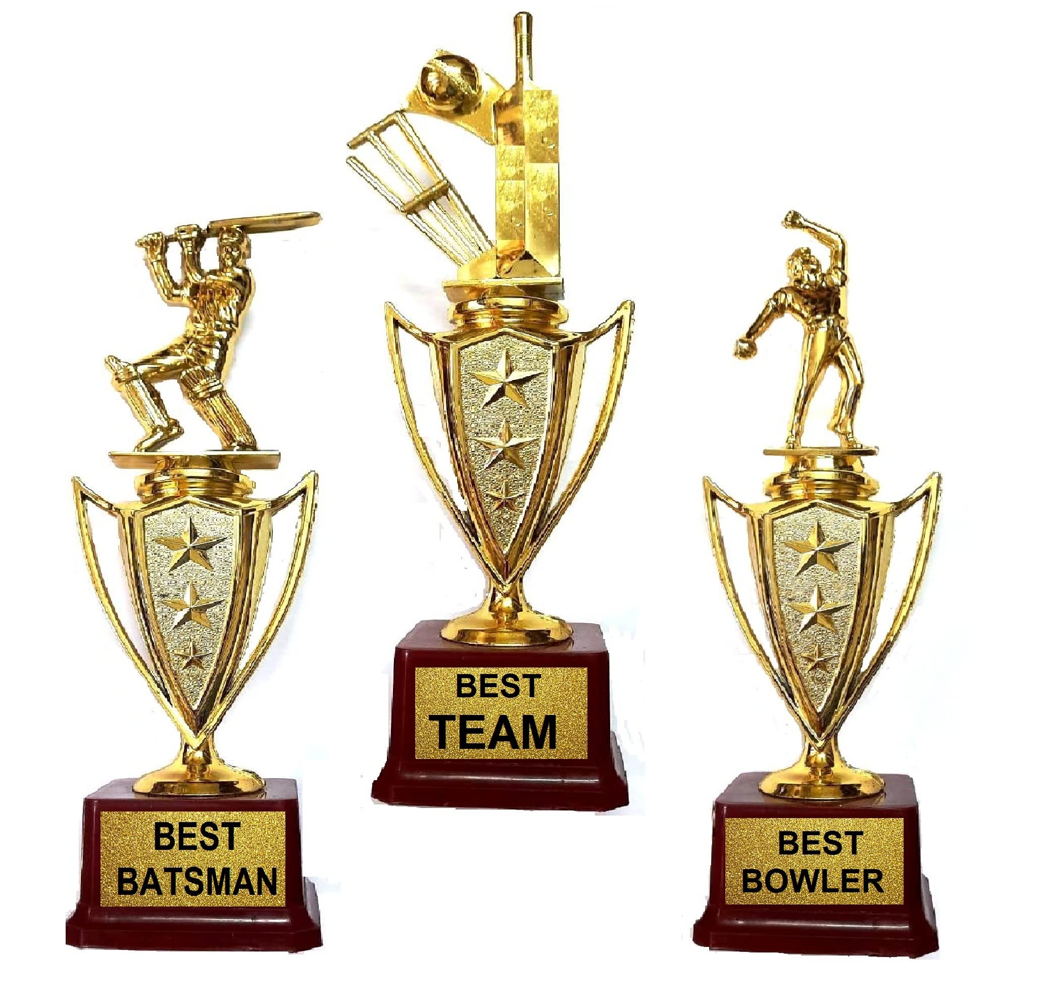 How to Choose the Perfect Cricket Trophy for Your Team - TechnoVans